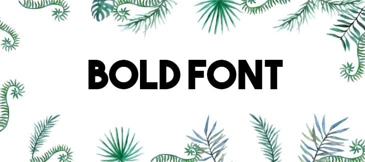 Bold Font Free Download