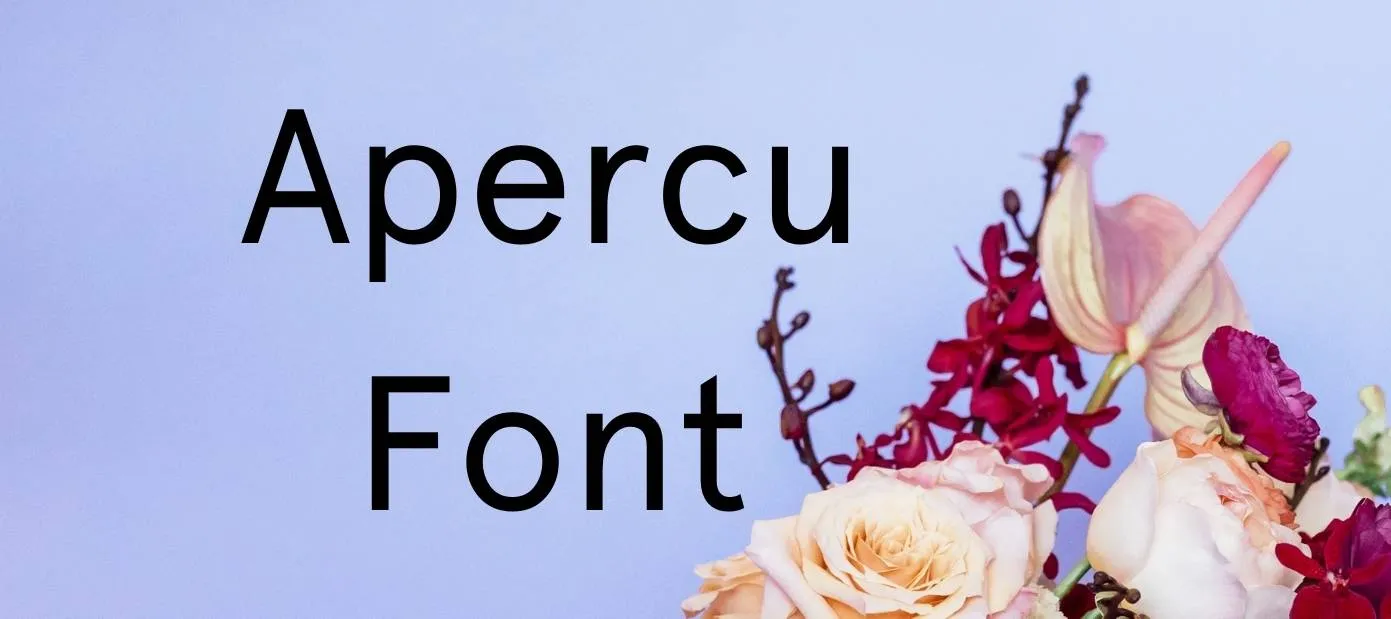 Apercu Font Free Download
