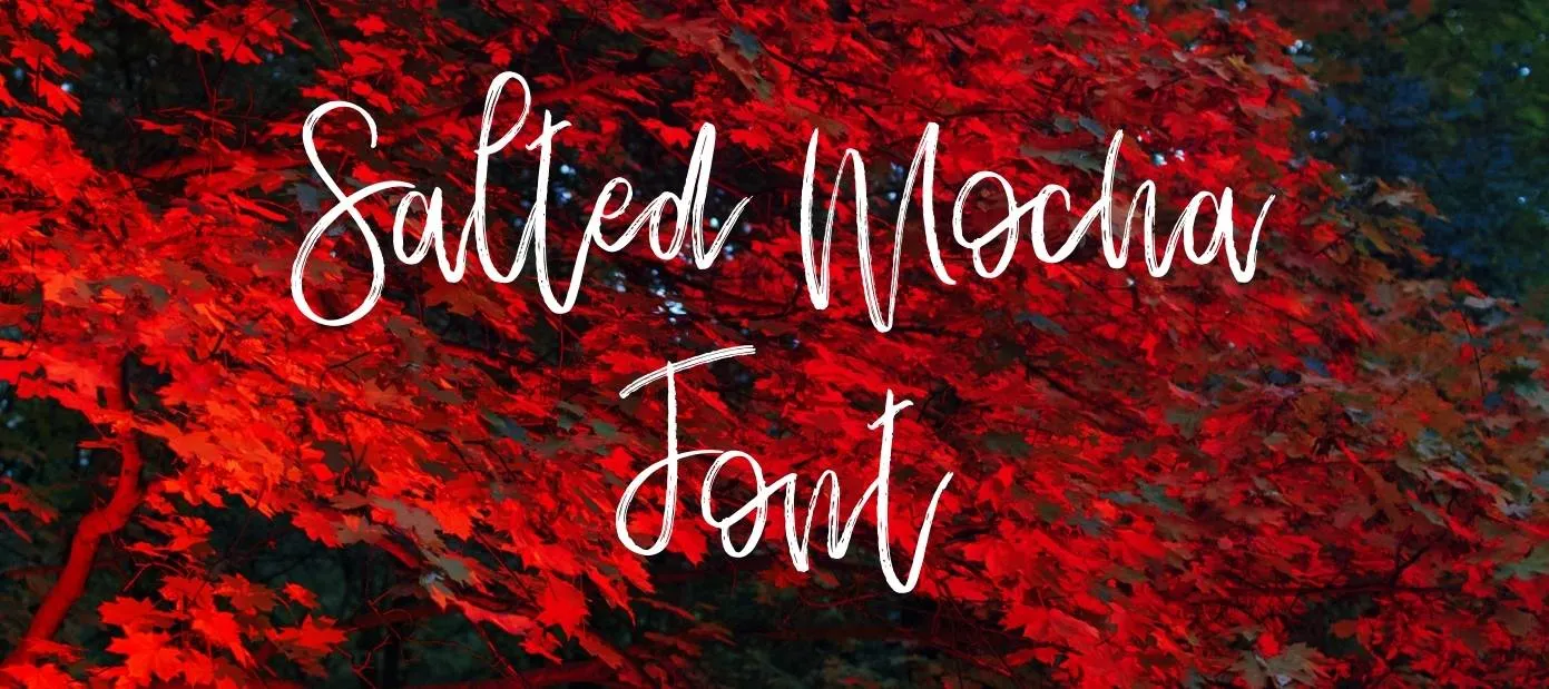 Salted Mocha Font Free Download