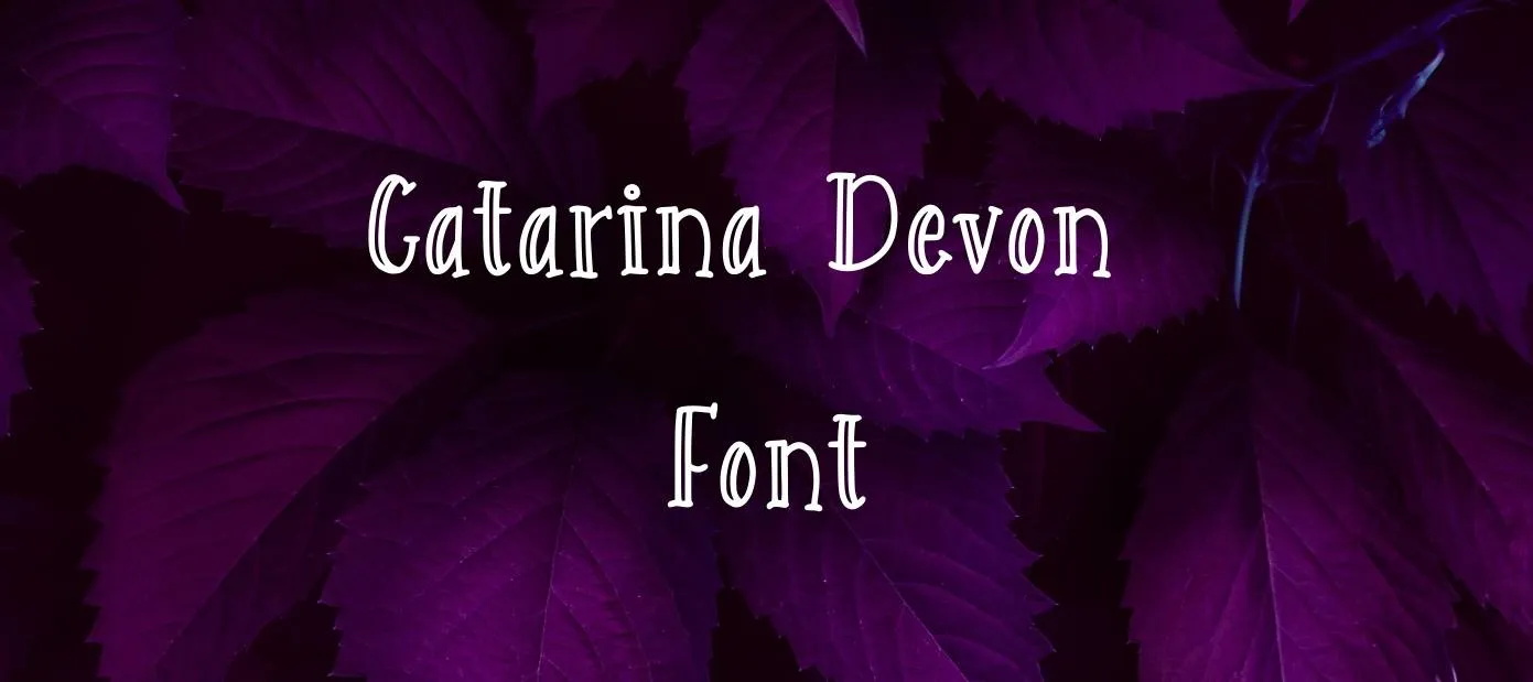 Catarina Devon Font Free Download