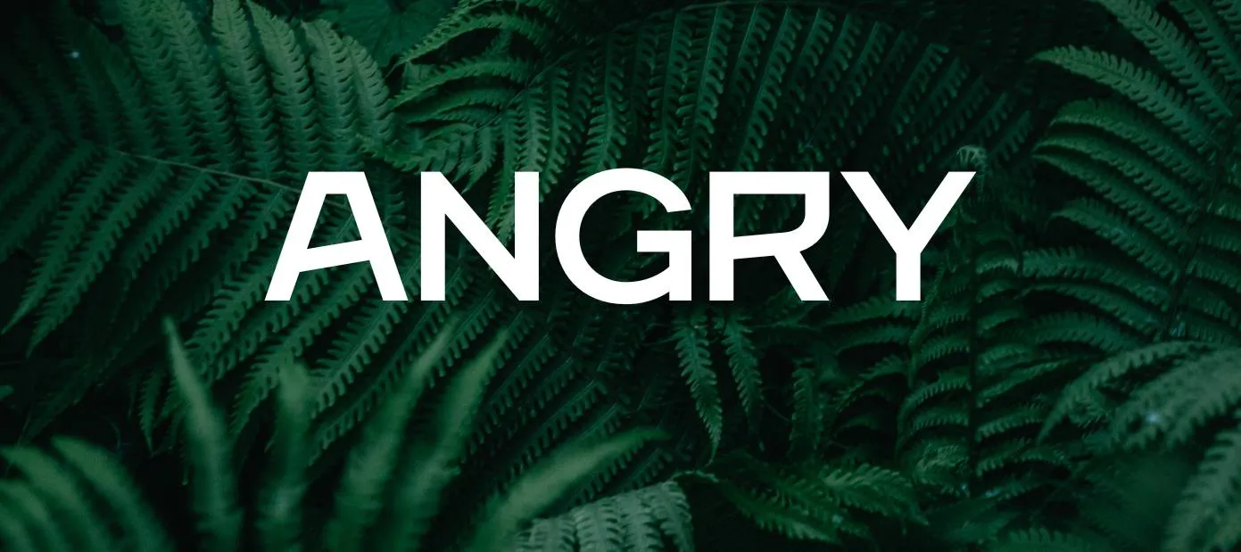Angry Font Free Download
