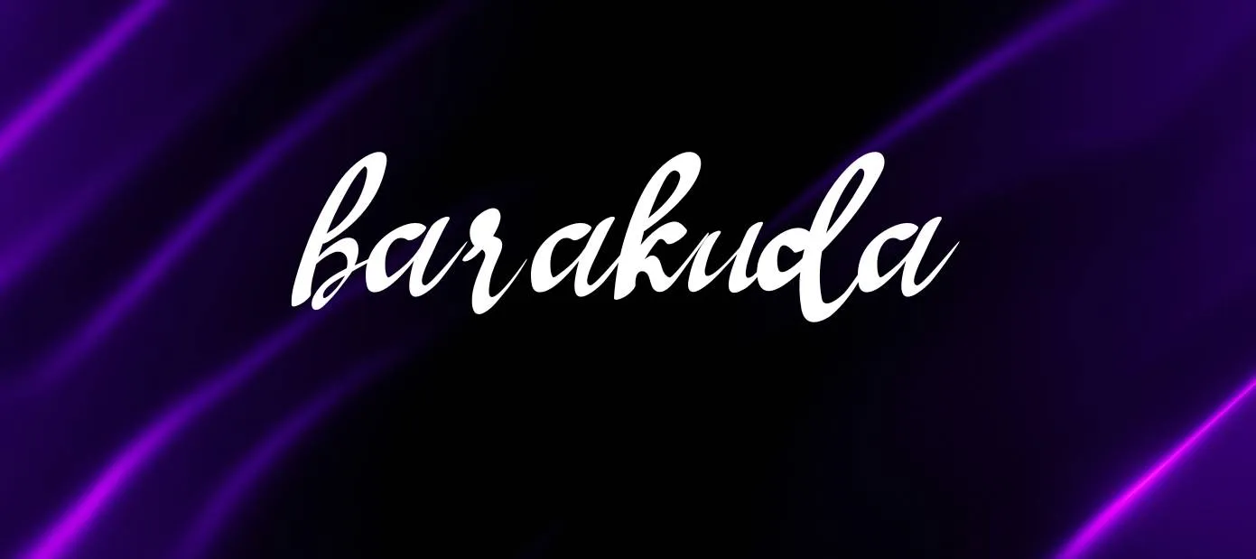 Barakuda Font Free Download